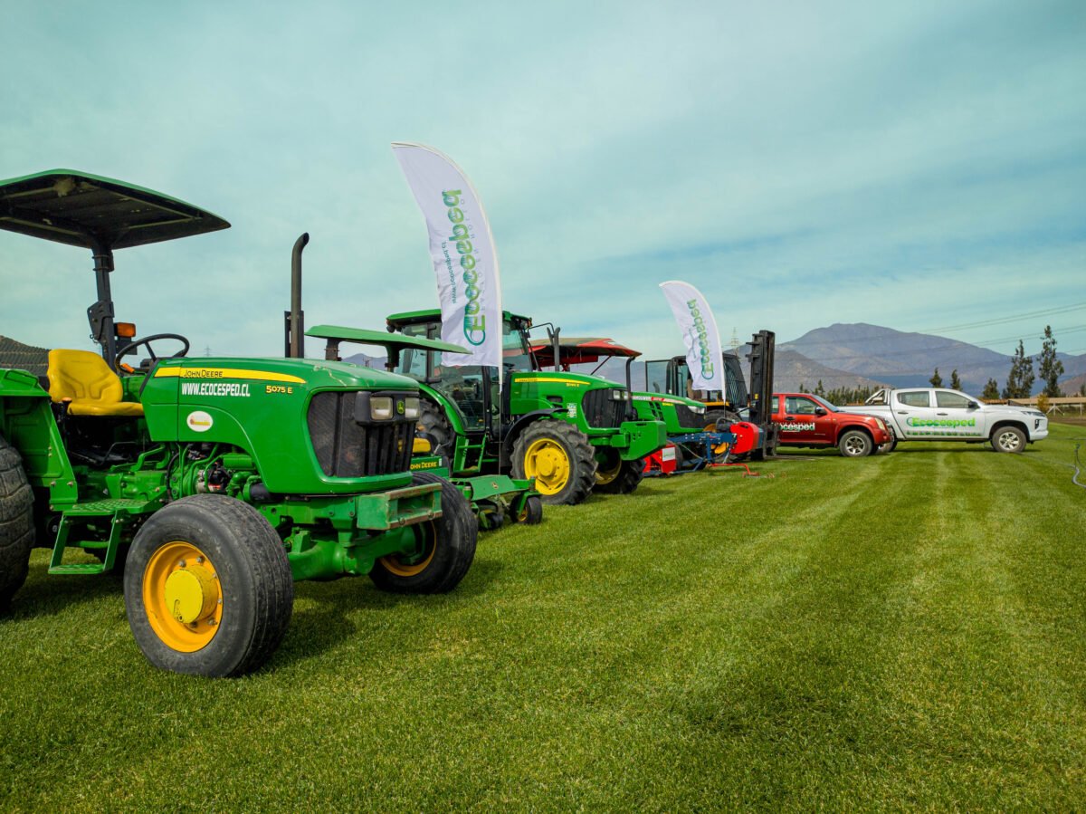 Pasto Natural en Rollo - Ecocesped