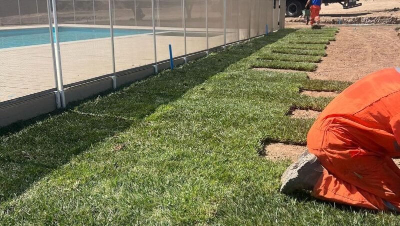 Pasto Natural en Rollo - Ecocesped