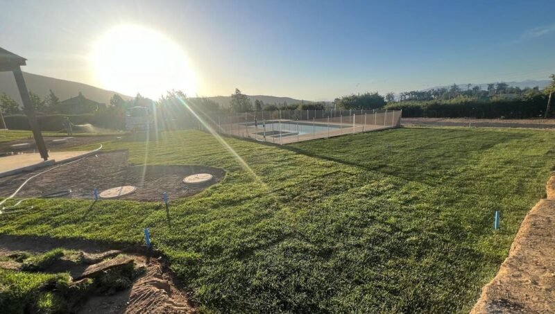 Pasto Natural en Rollo - Ecocesped