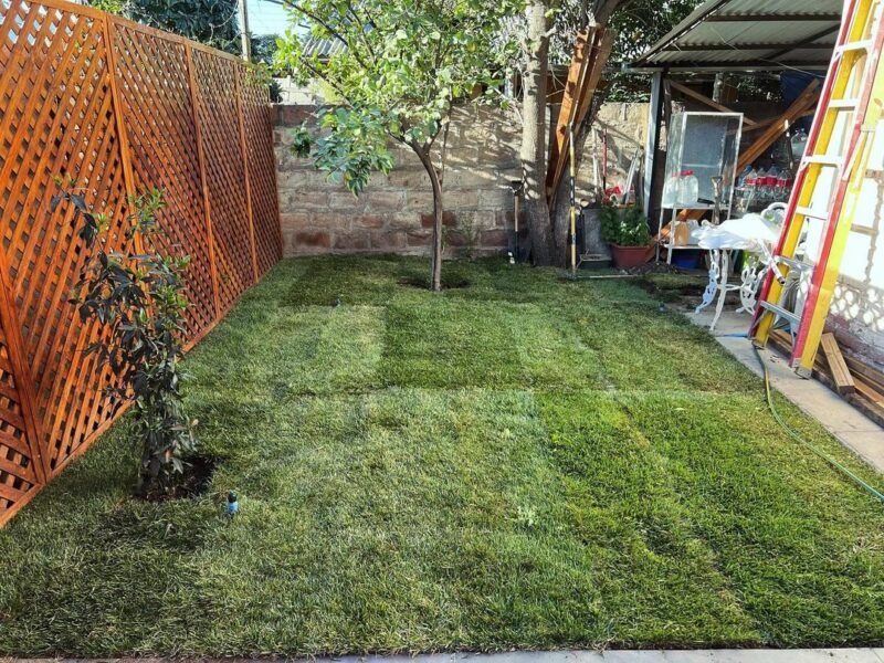 Pasto Natural en Rollo - Ecocesped